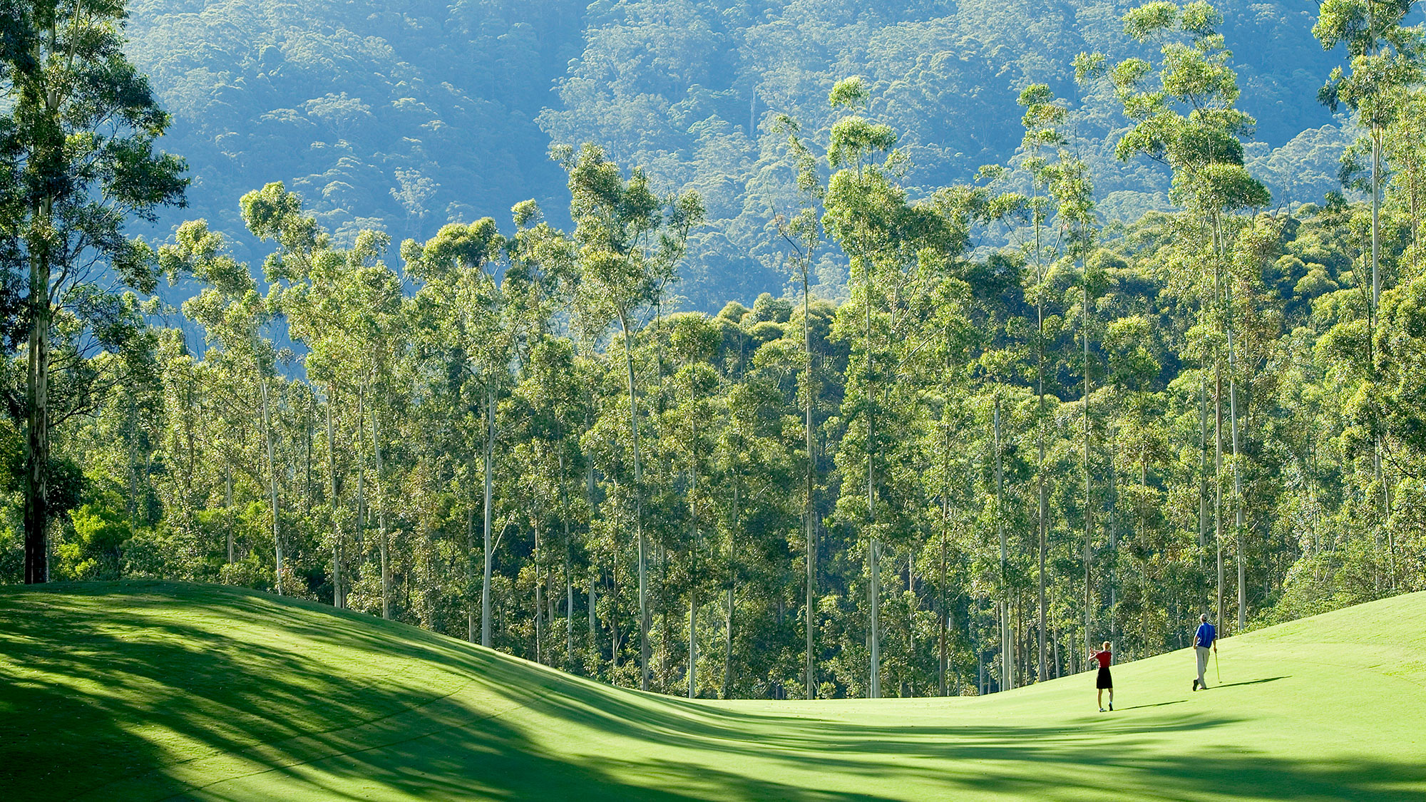Top 100 Spotlight: Bonville Golf Resort - Australian Golf Digest