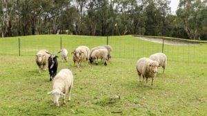 Best Golf Courses In Australia | Australian Golf Digest