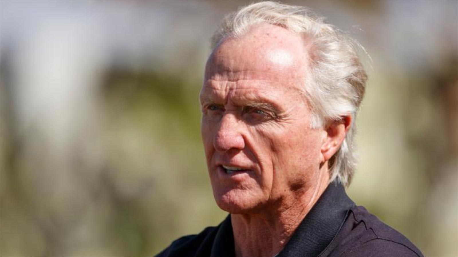 It sounds like Greg Norman's LIV Golf pitch to the American Congress ...