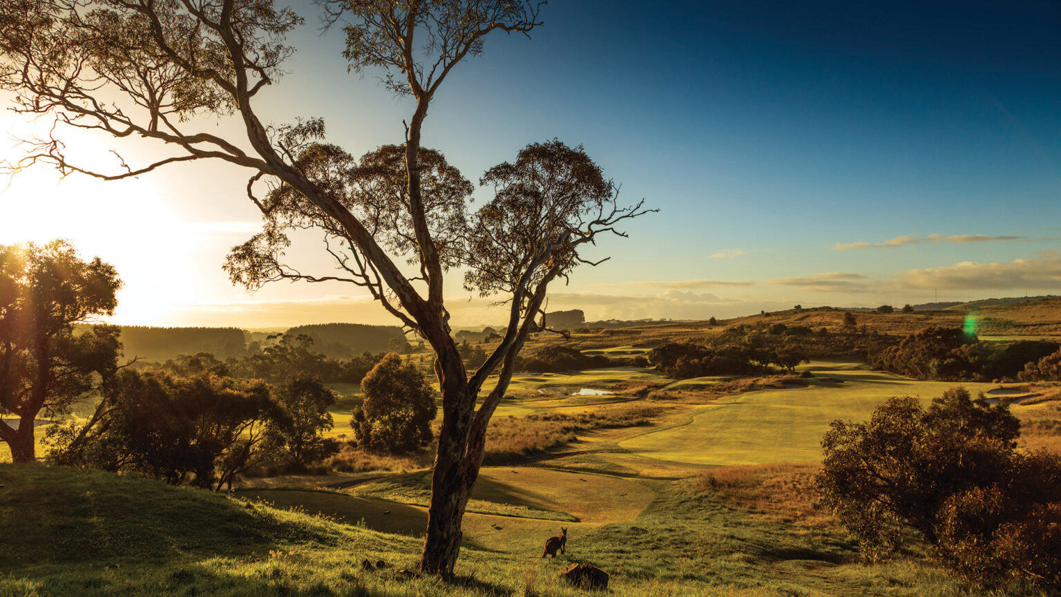 South Australia: There's a new player in town – Australian Golf Digest