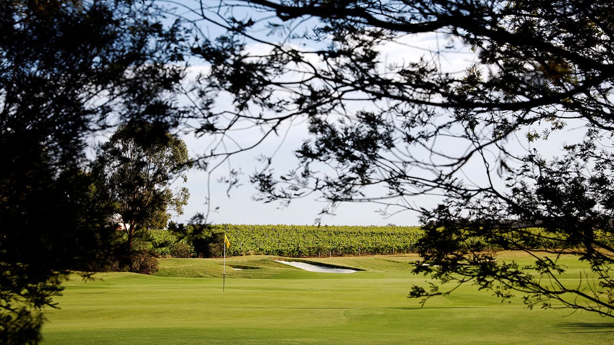 Where We Play: The Vintage, NSW Hunter Valley - Australian Golf Digest